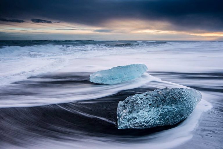 Ross Hoddinott wildlife & landscape photographers - ArtPeople.Net