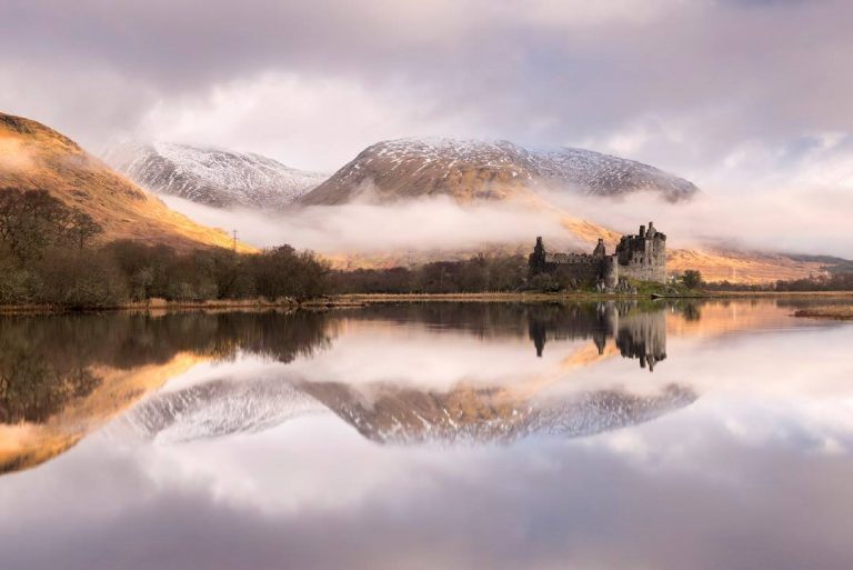 Ross Hoddinott wildlife & landscape photographers - ArtPeople.Net