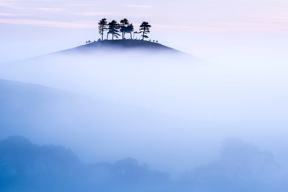 Ross Hoddinott wildlife & landscape photographers - ArtPeople.Net
