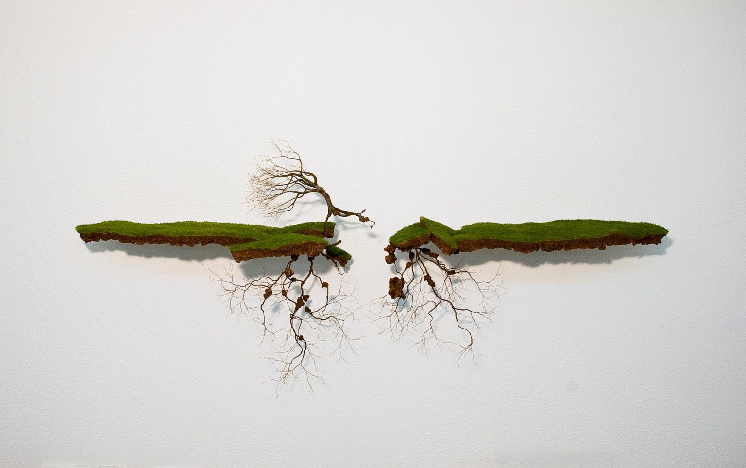 Tree Sculptures | Jorge Mayet - ArtPeople.Net