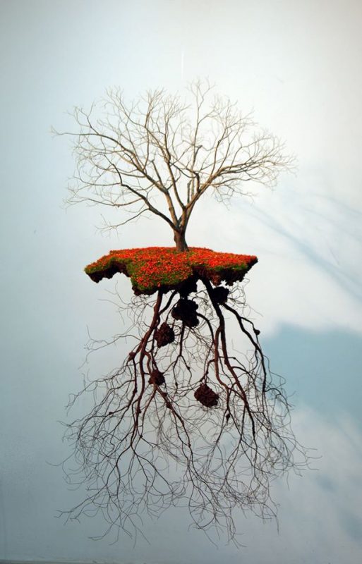 Tree Sculptures | Jorge Mayet - ArtPeople.Net