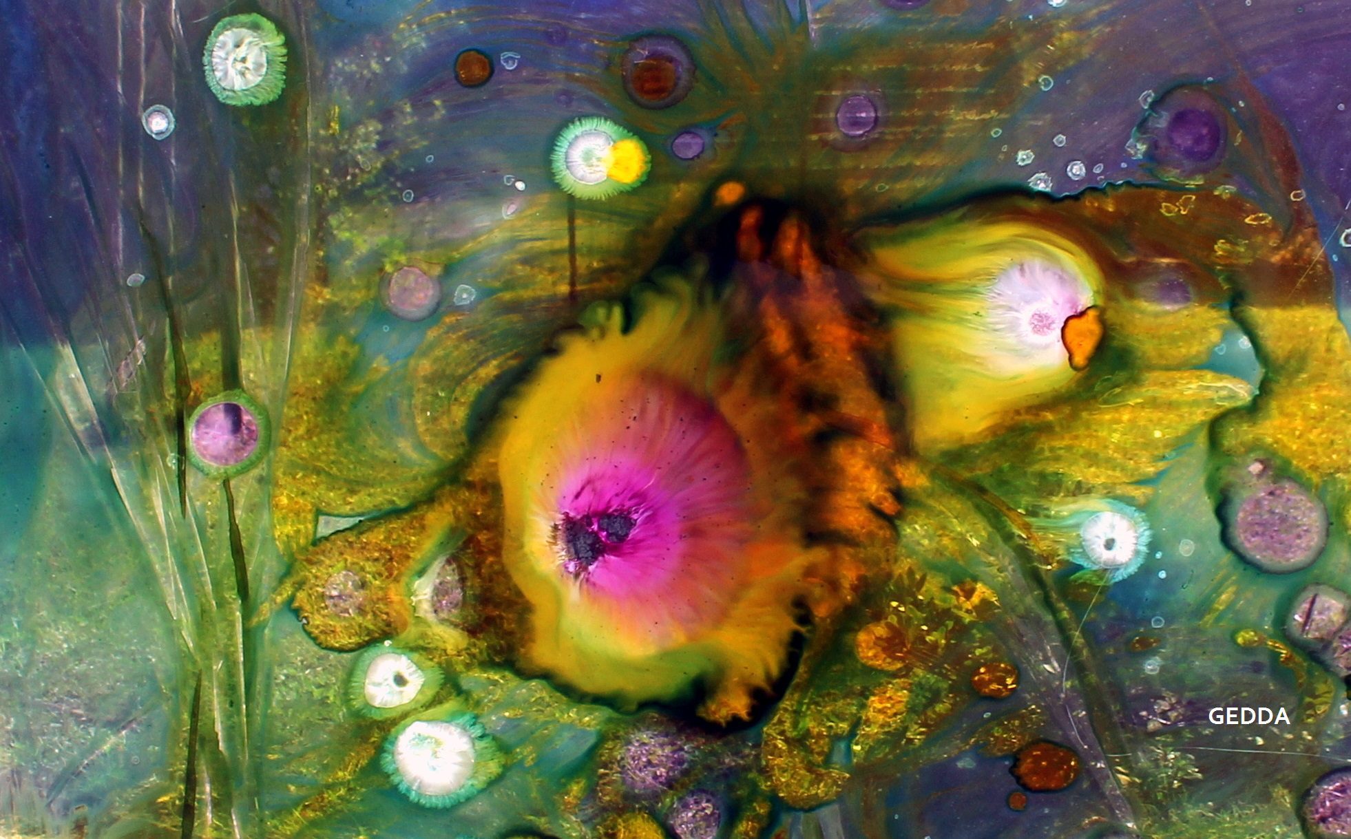 GEDDA , - ArtPeople.Net