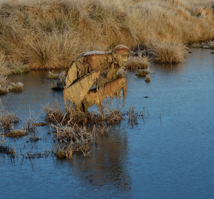 Swamp creatures by Sculptor Sophie Prestigiacomo - ArtPeople.Net